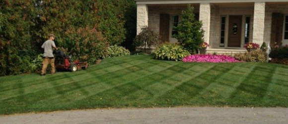 Stripes in lawn - Verdalife Landscaping